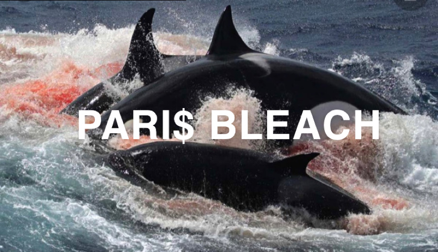Paris Bleach - Killer Whale (Prod. LoyalThePlug) | Thizzler